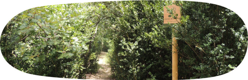 Une-Sentier - Domaine de Briange